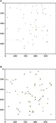Frontiers | An improved algae-YOLO model based on deep learning for object detection of ocean ...
